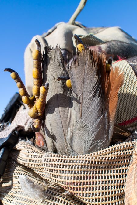 Garhart Stephenson’s Guide to Successful Chukar Hunting - Shotgun Life