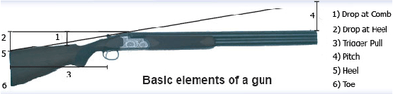 Shotgun Fit: What You’re Missing | Shotgun Life