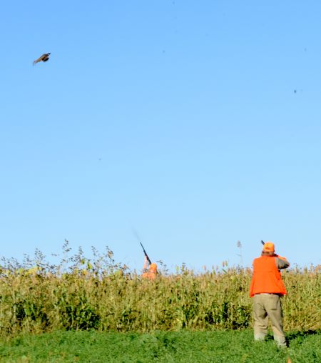 Garhart Stephenson’s Guide To Successful Chukar Hunting | Shotgun Life
